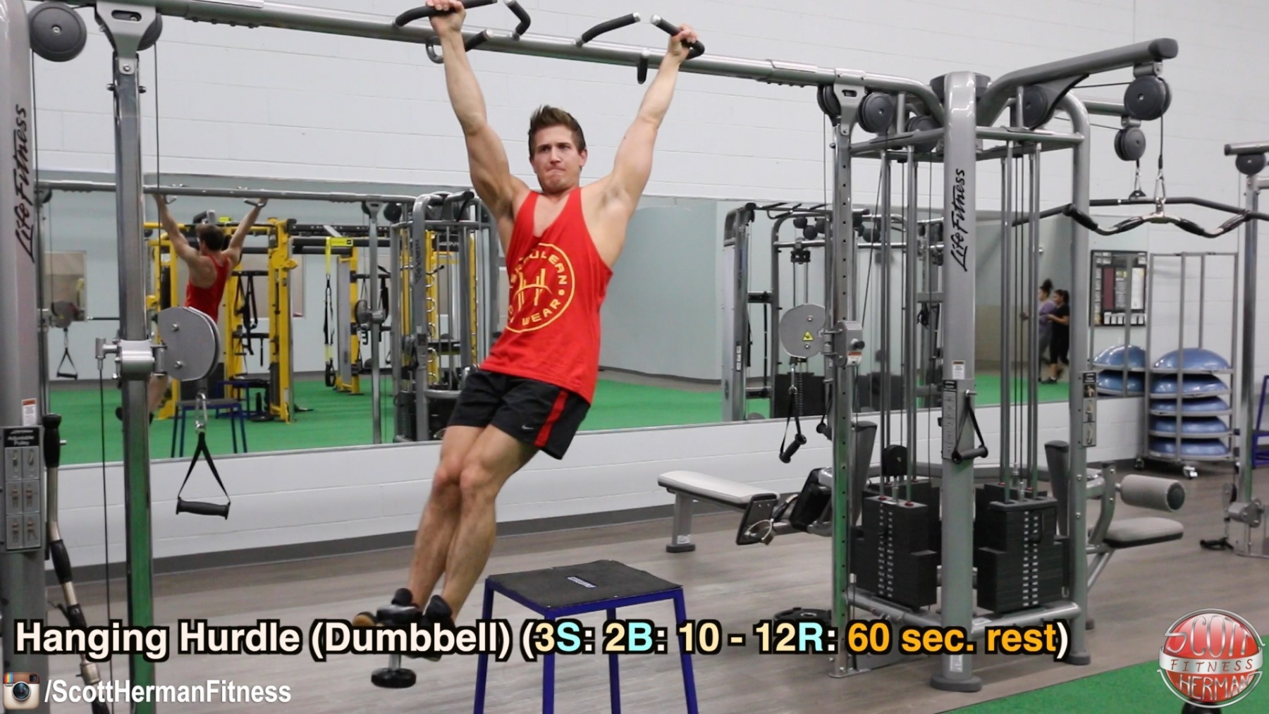 5 Day Bodybuilding Split Workout - Observable Reality