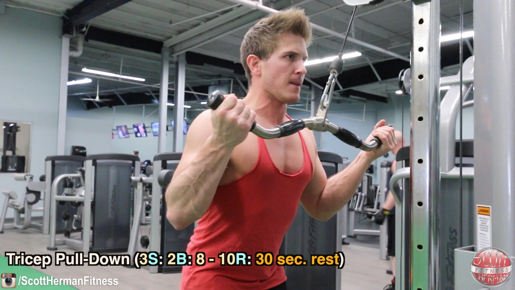 5 Day Bodybuilding Split Workout - Observable Reality